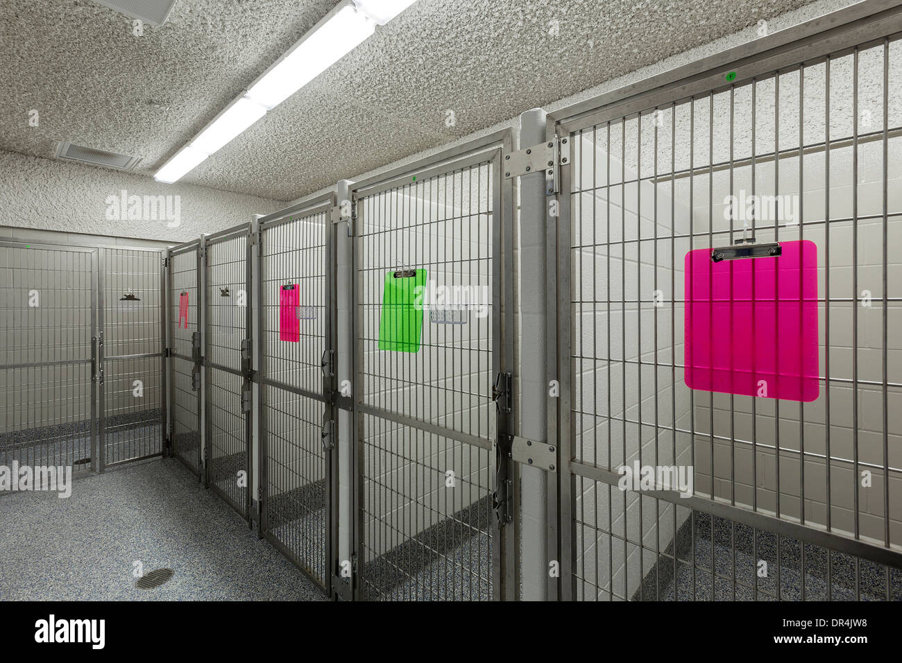 Empty dog shelter hi-res stock photography and images - Alamy