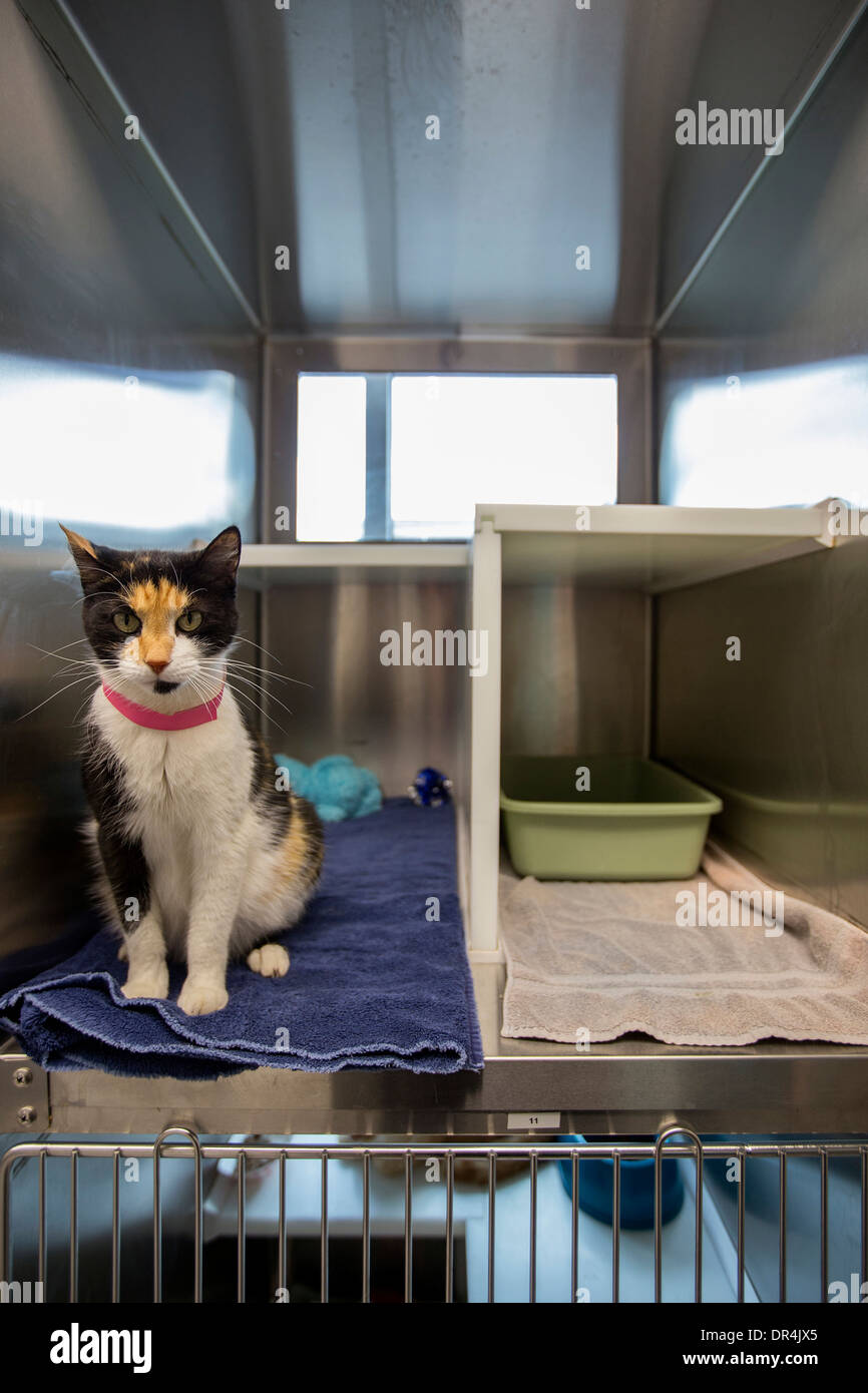 Humane society hi-res stock photography and images - Alamy