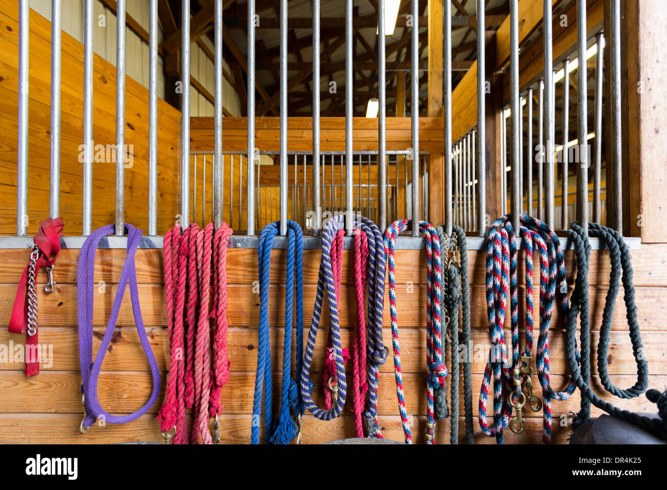 Ropes hanging from stalls in barn Stock Photo - Alamy