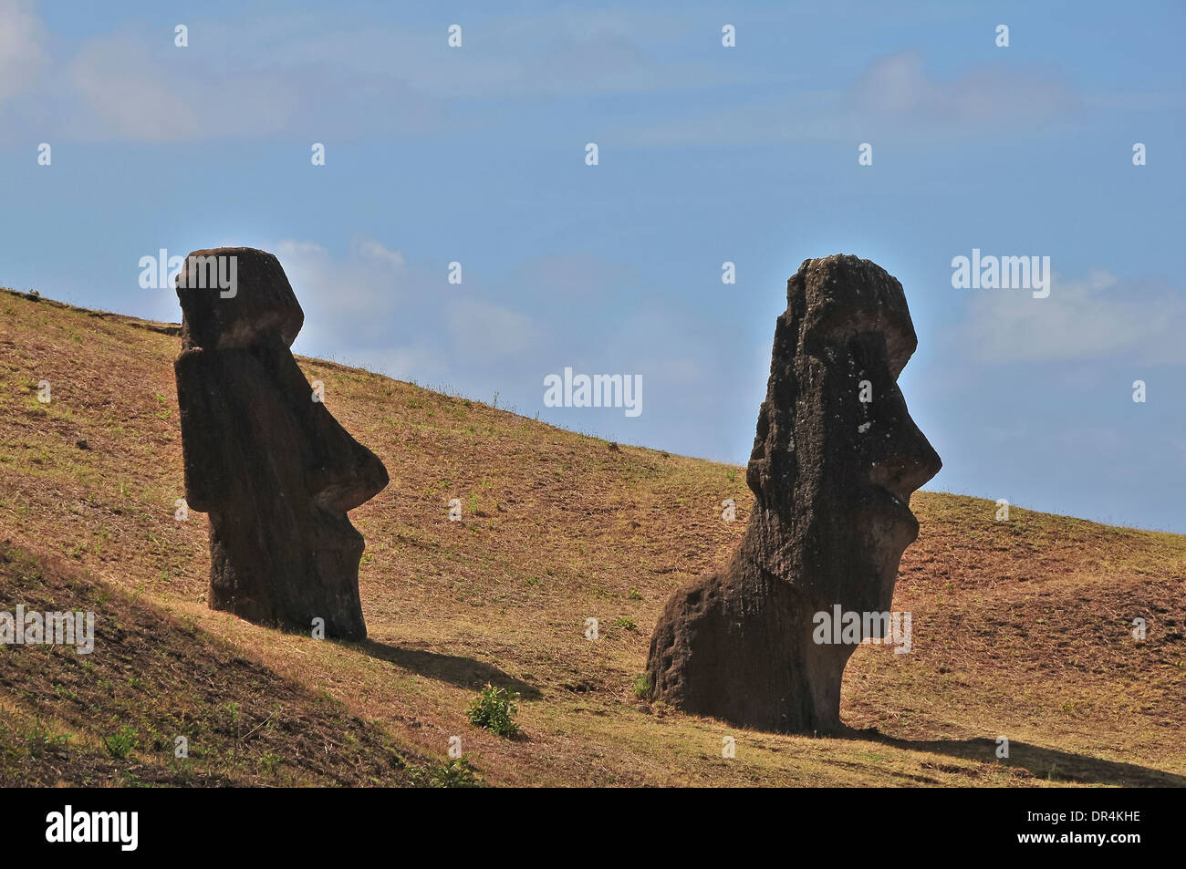 Moai Statue in Easter Island, Chile Stock Photo - Alamy