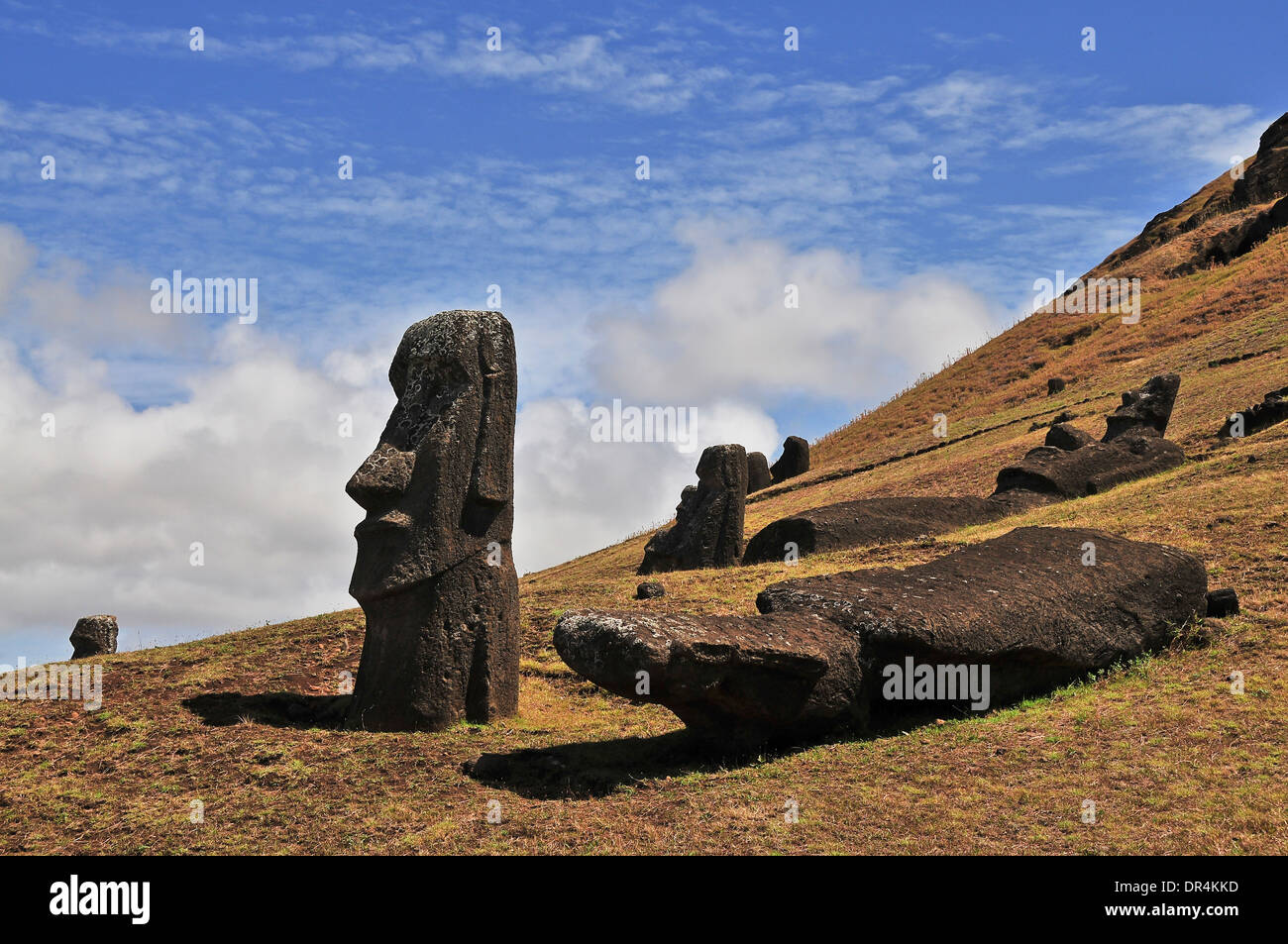 Moai Statue in Easter Island, Chile Stock Photo - Alamy