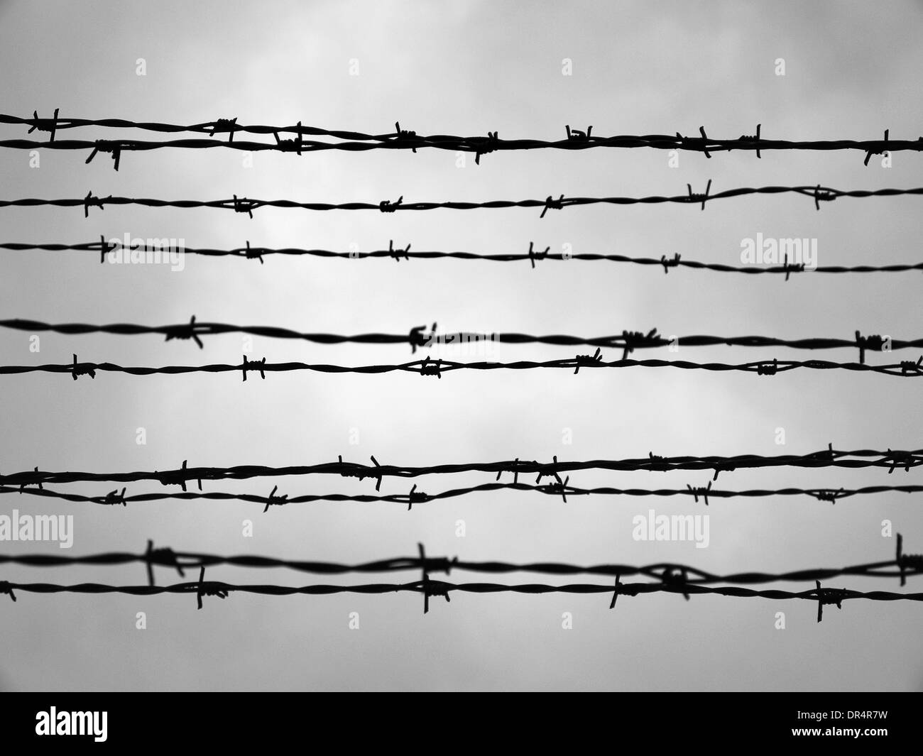 Auschwitz fence wire hi-res stock photography and images - Alamy