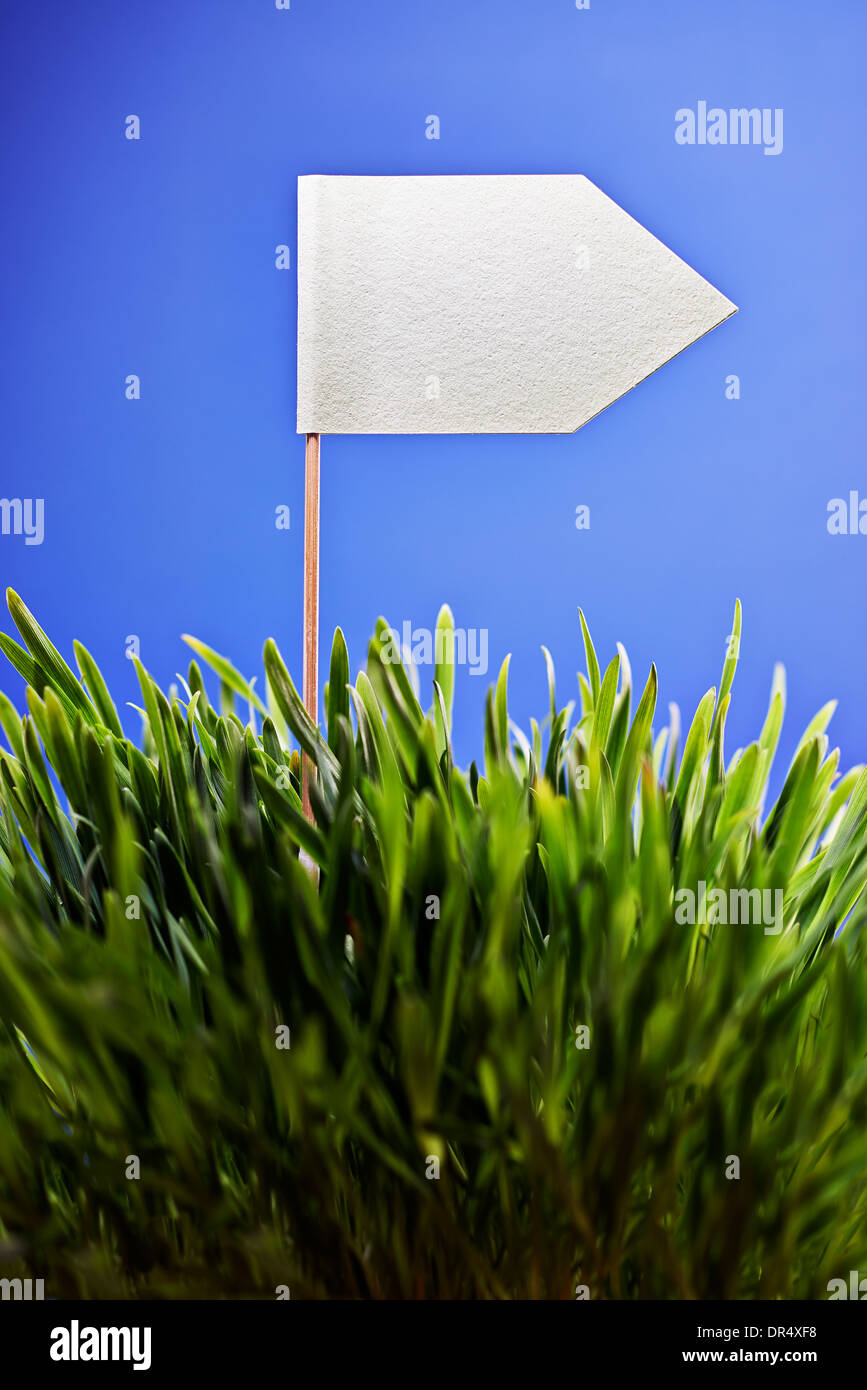 Planting flag hi-res stock photography and images - Alamy