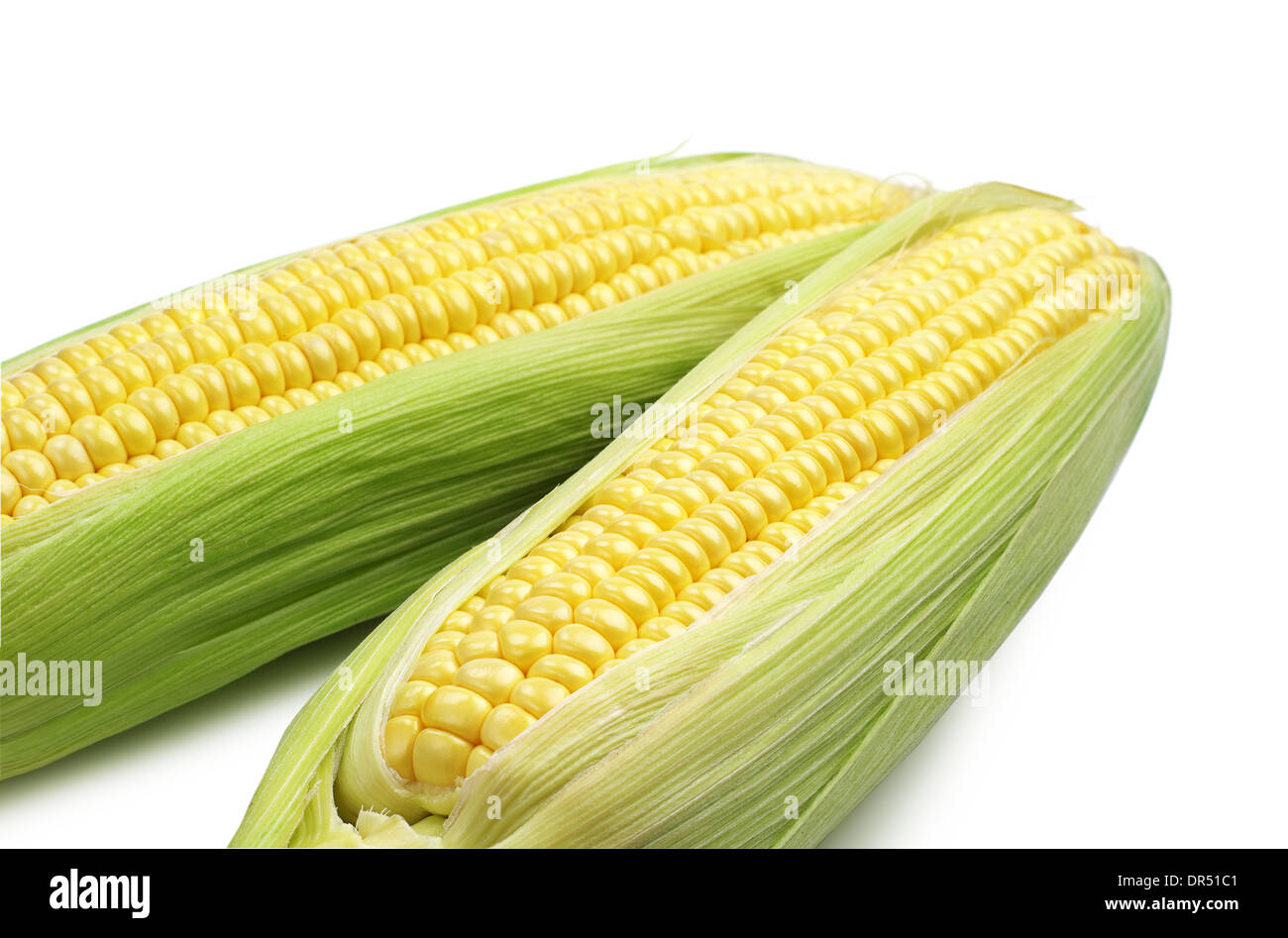 Raw corn closeup on white background Stock Photo - Alamy