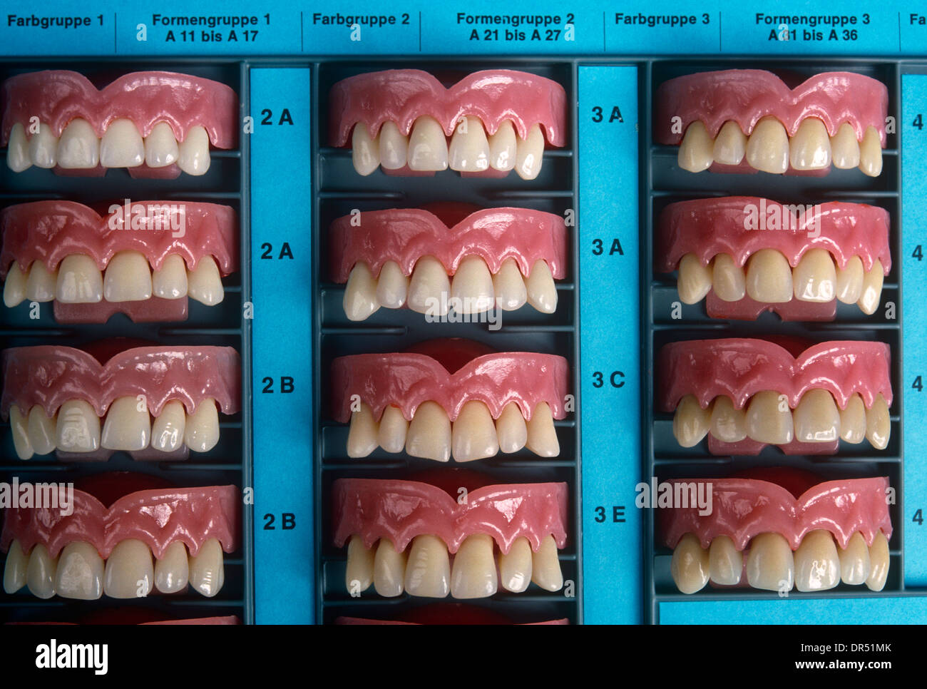 Acrylic teeth samples displayed at Ivoclar in Schaan, Liechtenstein who ...
