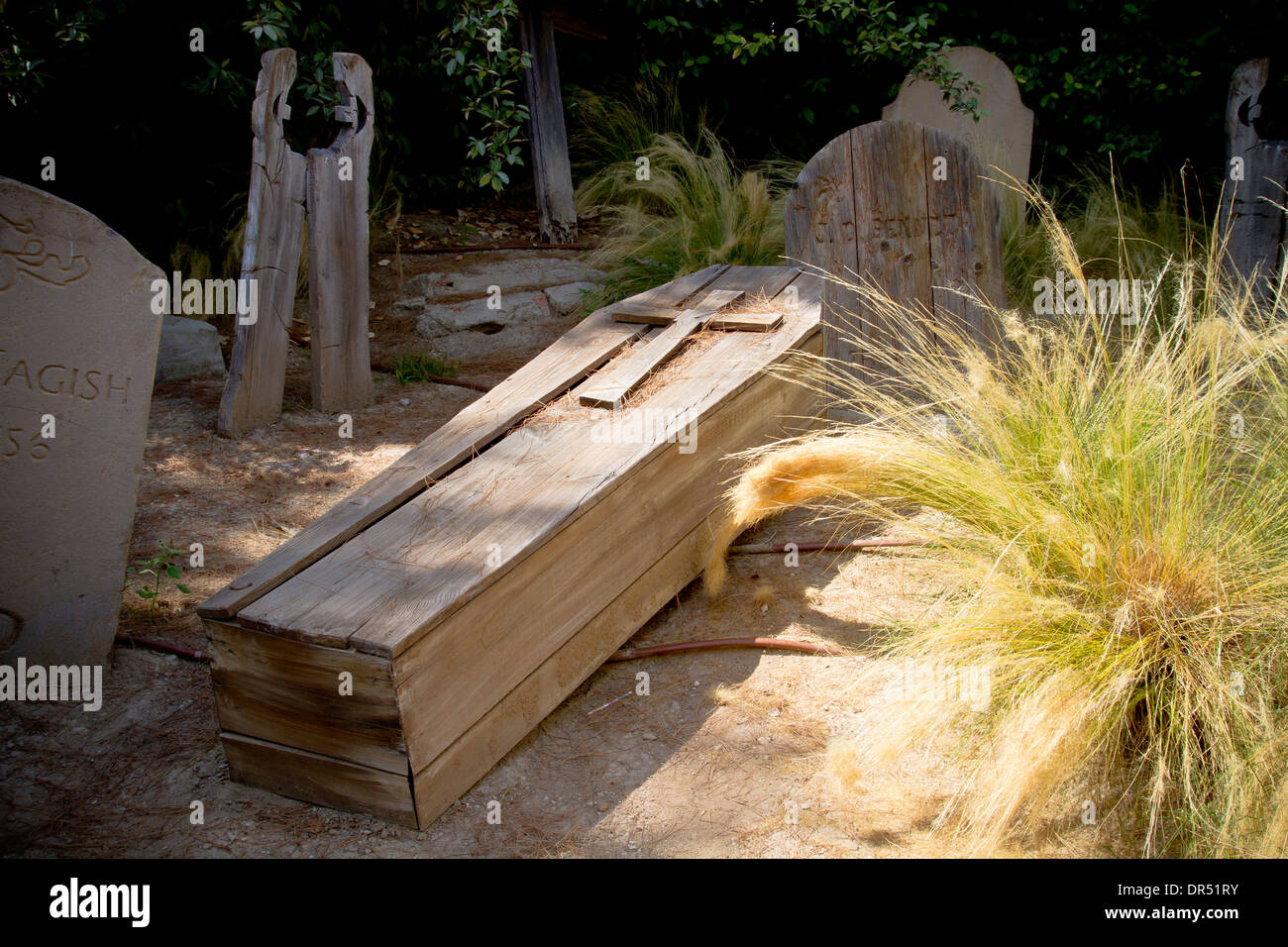 cemetery with wooden coffins sticking out of the ground and toms on the ...