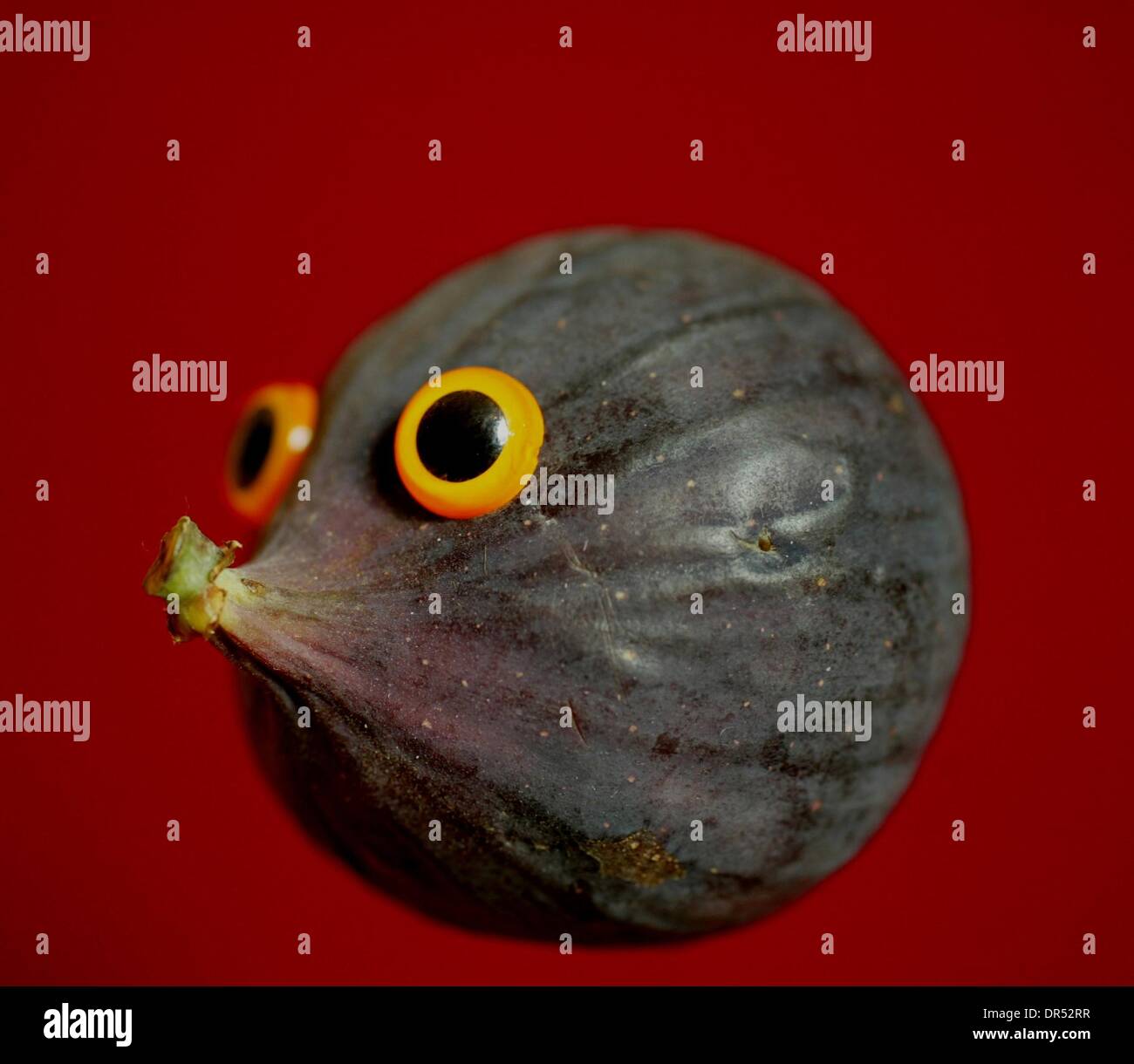 Animals created from fruit and vegetables Stock Photo - Alamy