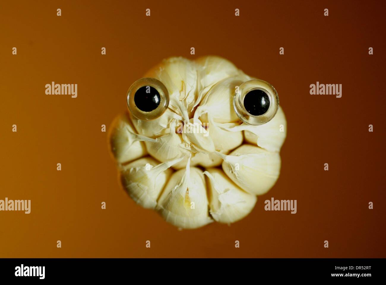 Animals created from fruit and vegetables Stock Photo - Alamy