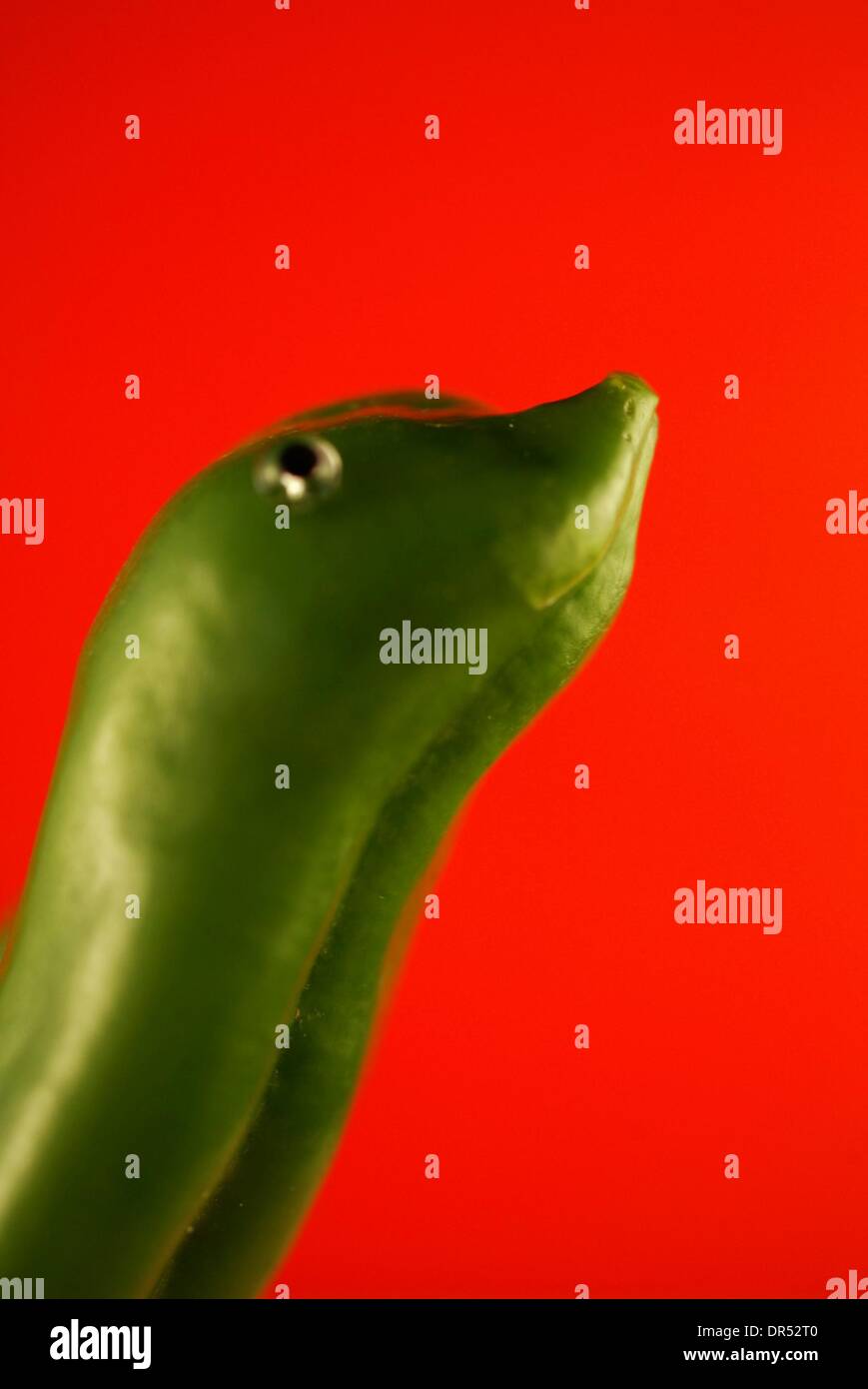 Animals created from fruit and vegetables Stock Photo - Alamy