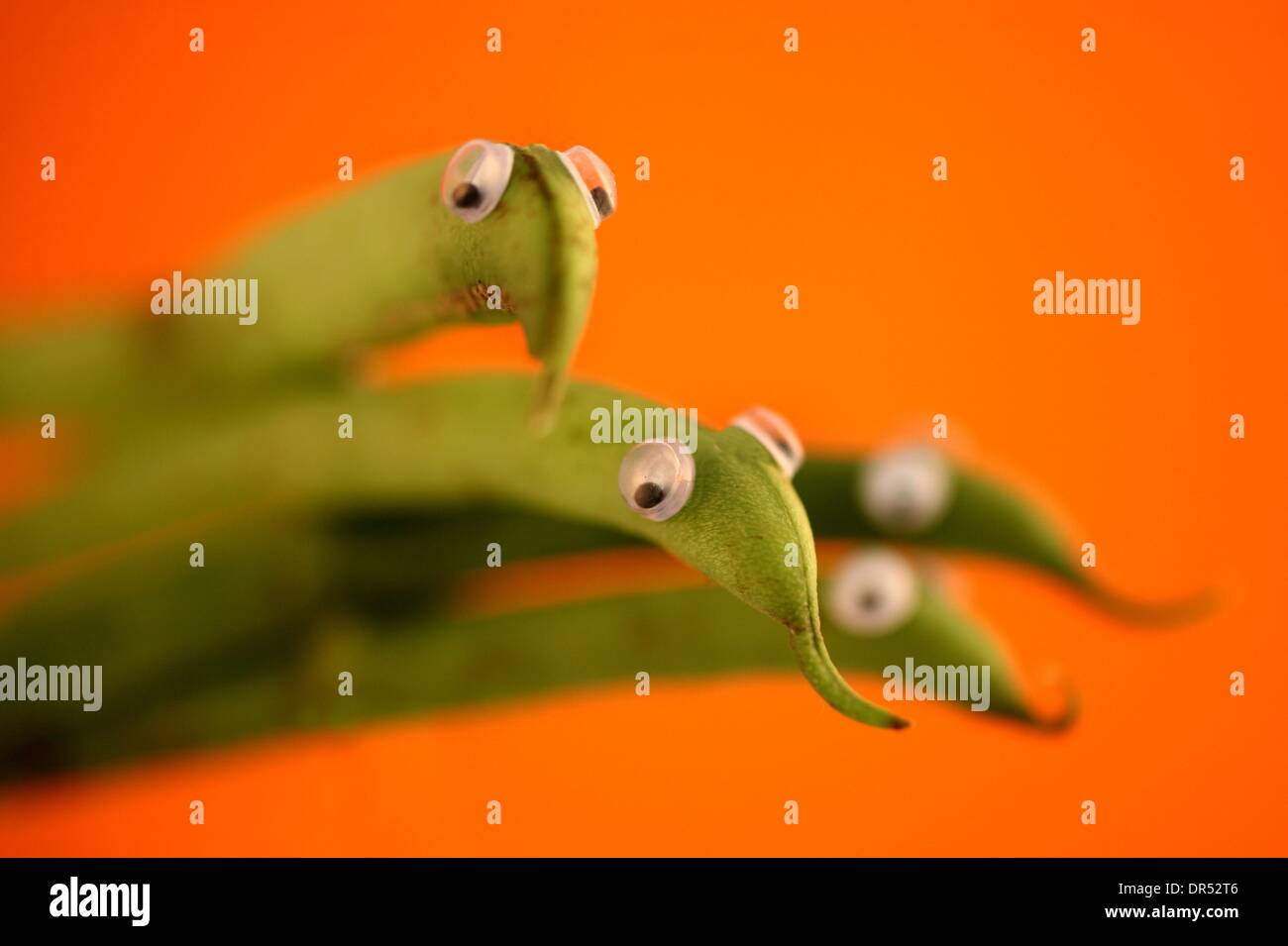 Animals created from fruit and vegetables Stock Photo - Alamy