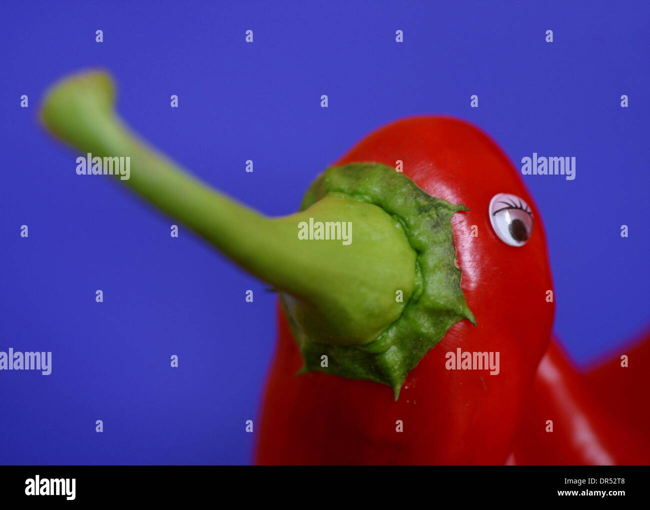 Animals created from fruit and vegetables Stock Photo - Alamy
