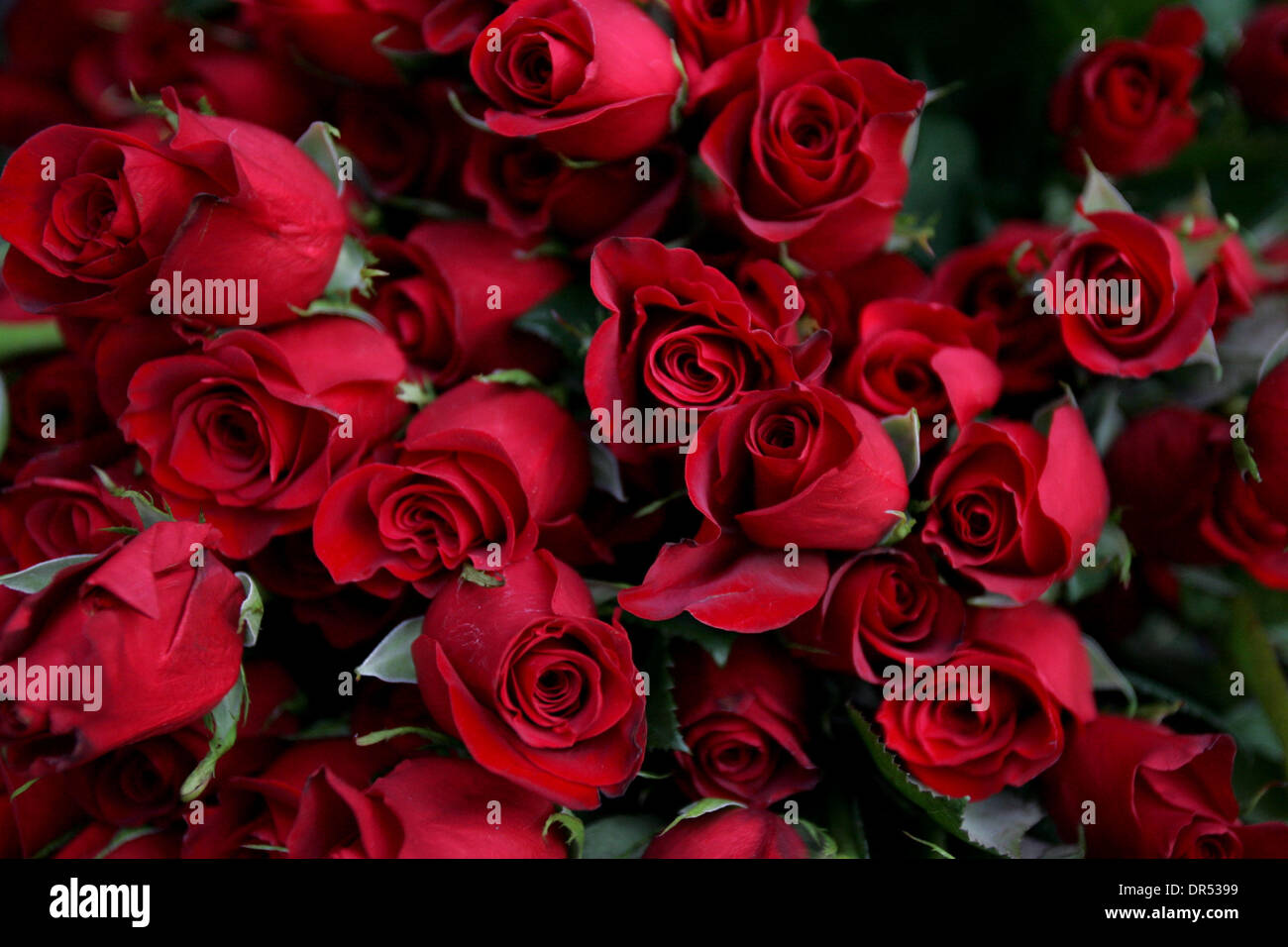 In kensal rise hi-res stock photography and images - Alamy