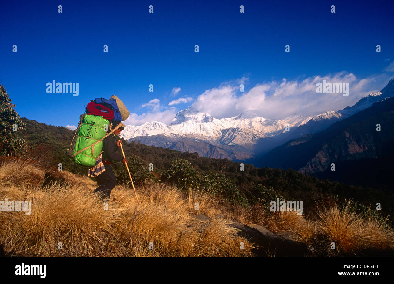 Local man carries tourism hi-res stock photography and images - Alamy