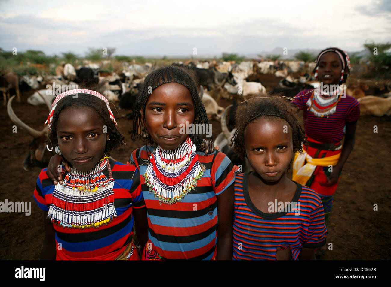 Ethiopian nomad family with their hut and animals Stock Photo - Alamy