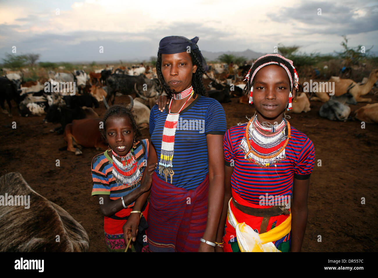 Ethiopian nomad family with their hut and animals Stock Photo - Alamy