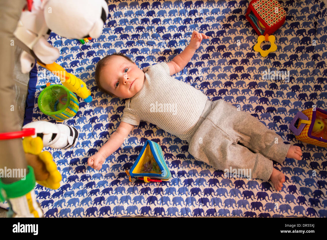 Caucasian newborn laying in crib Stock Photo - Alamy