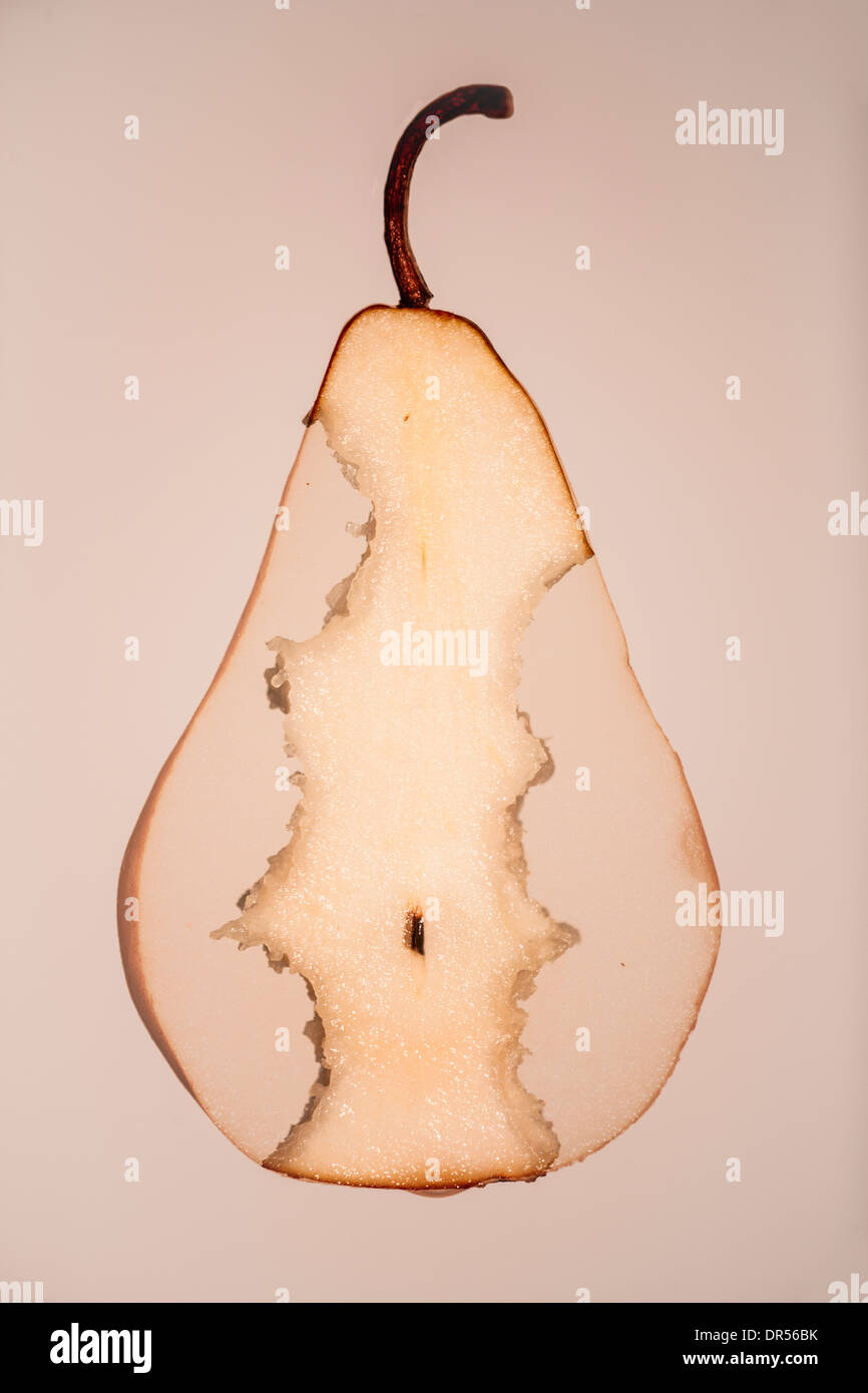 Cross Section Of Stem High Resolution Stock Photography and Images - Alamy