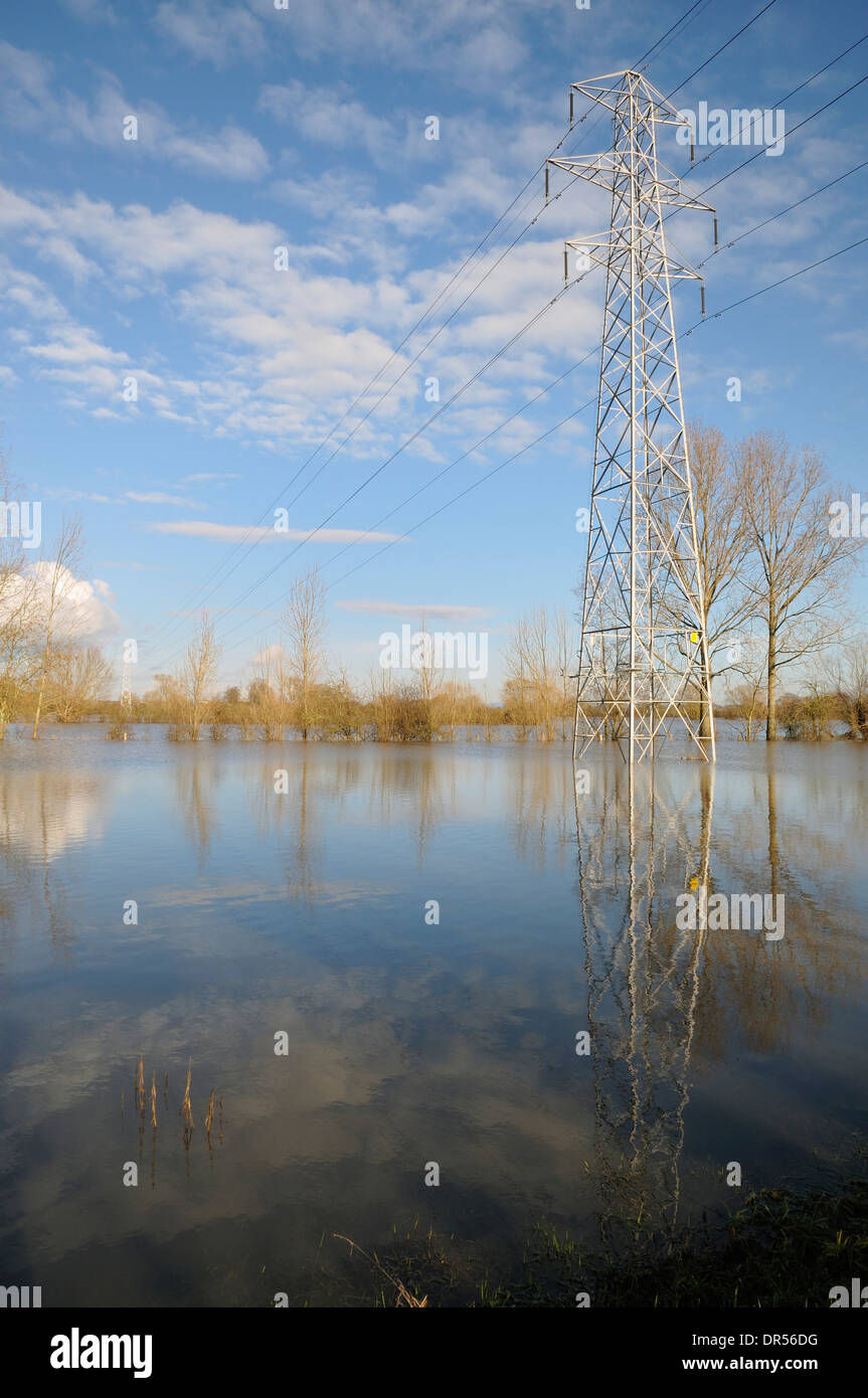 High hedge lines trees hi-res stock photography and images - Alamy
