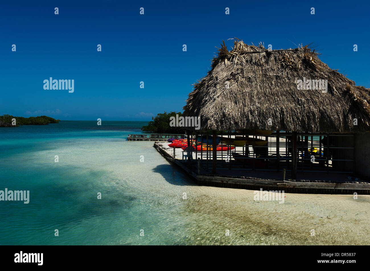 Sea of Belize Stock Photo - Alamy