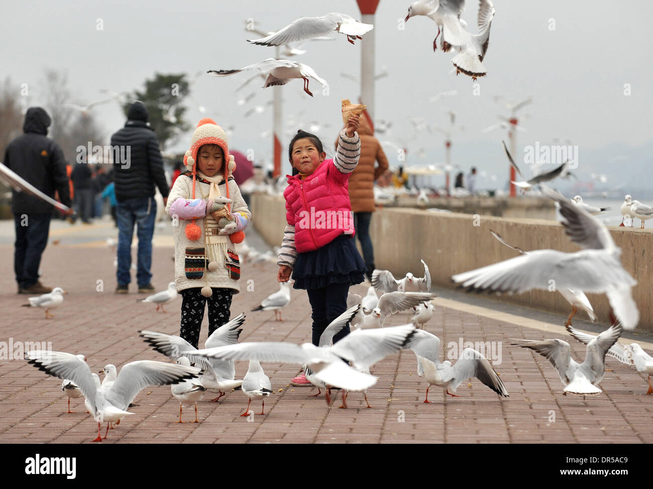 Kunming, China's Yunnan Province. 20th Jan, 2014. Two children feed ...