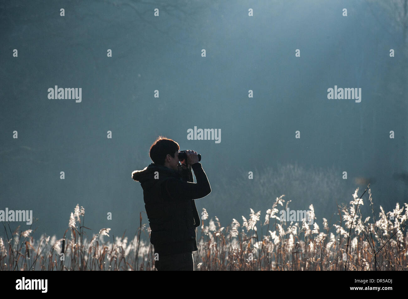 Cernousy, near Frydlant. 18th Jan, 2014. Czech ornithologist Martin ...
