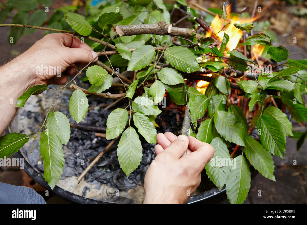 Person making bonfire hi-res stock photography and images - Alamy