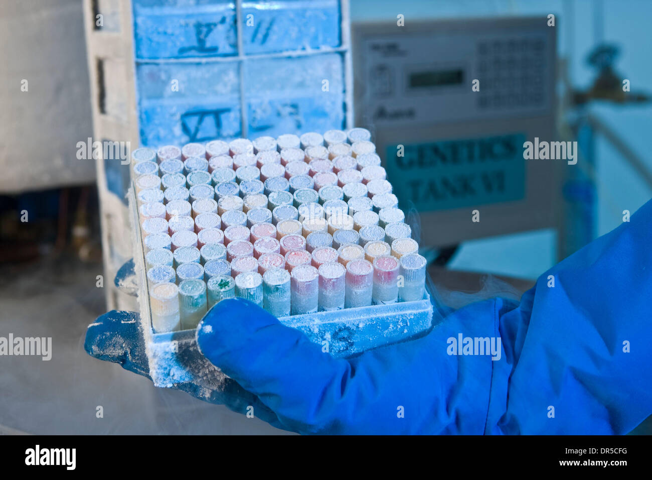 Cell samples hi-res stock photography and images - Alamy
