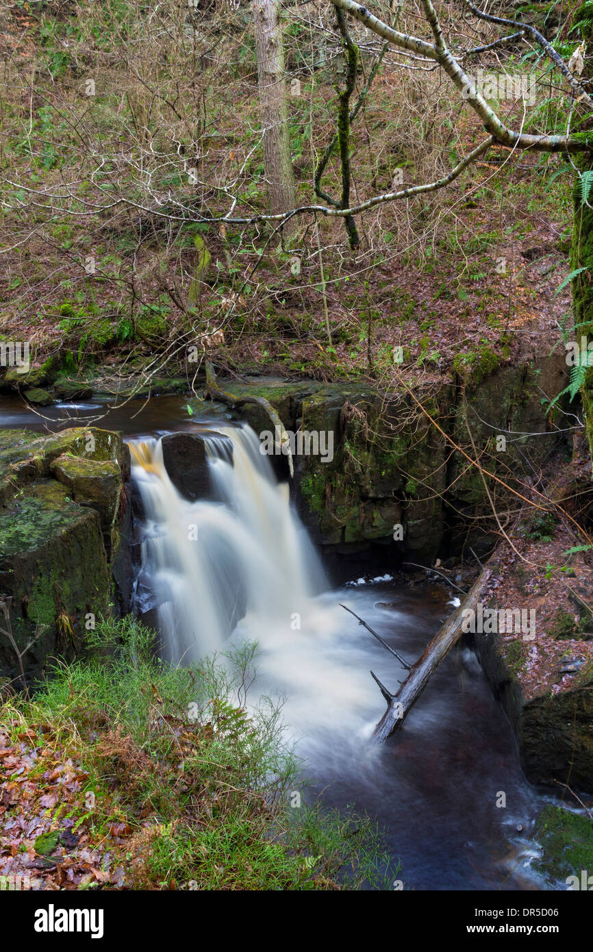 Waterfall on Hareshaw Burn Bellingham Northumberland UK Stock Photo - Alamy