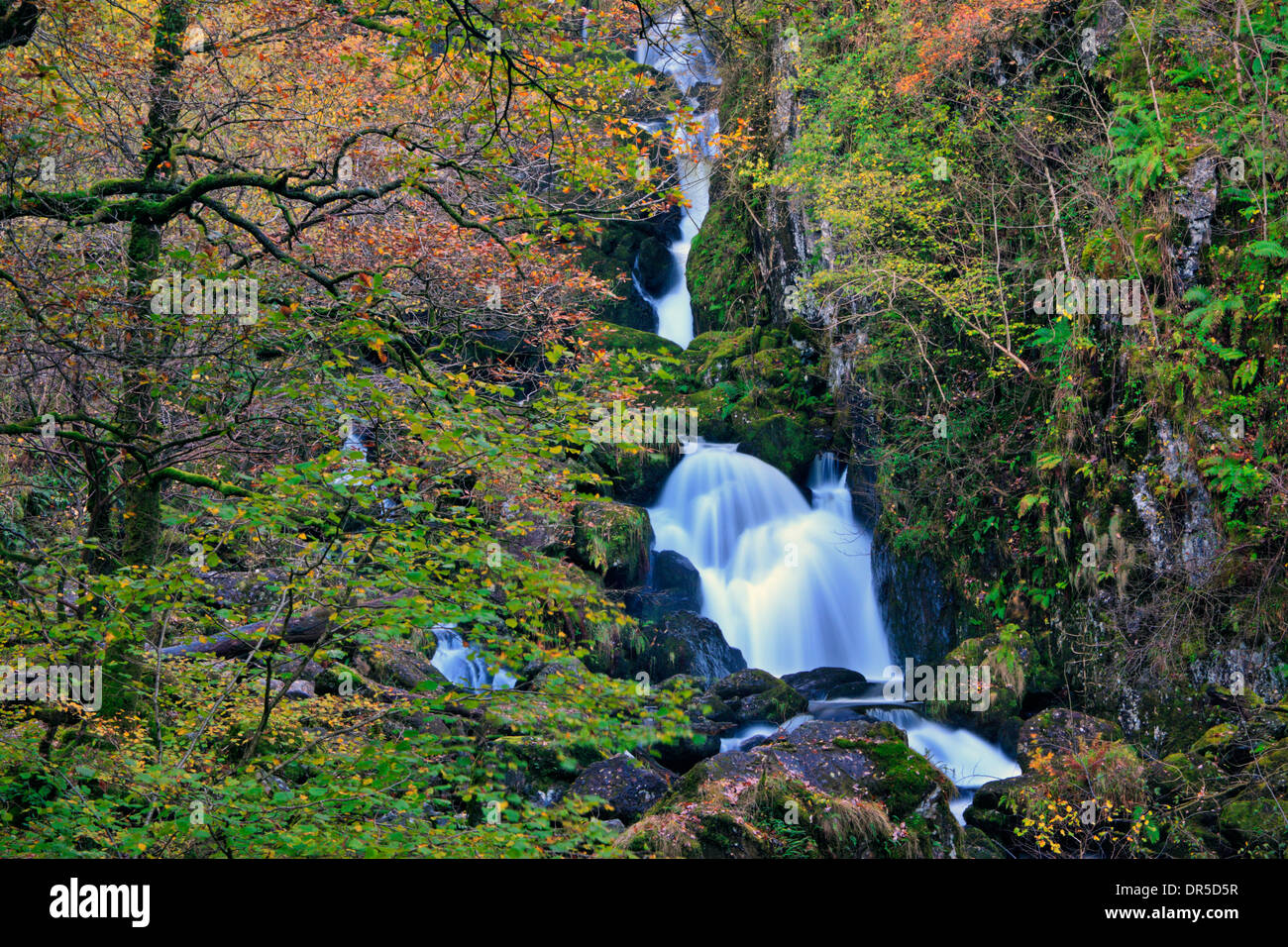 Lodore falls cumbria hi-res stock photography and images - Alamy