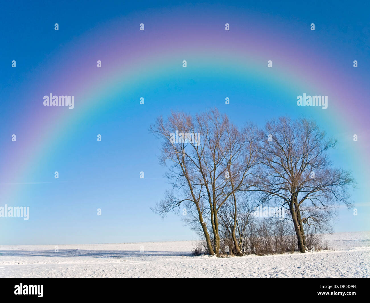 winter landscape with rainbow Stock Photo - Alamy