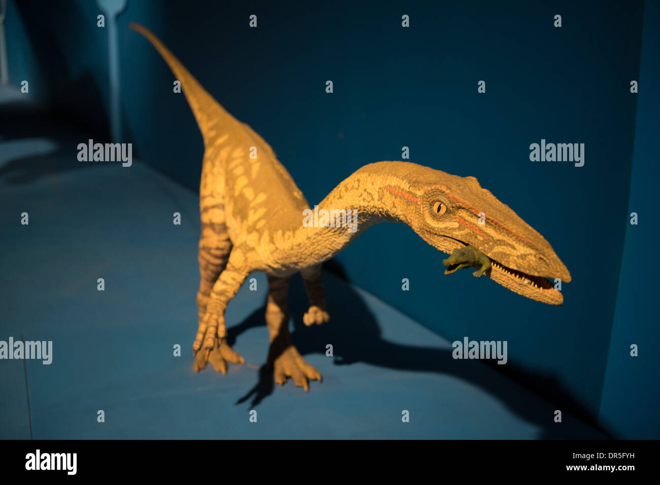 Life size model dinosaurs on display at the Science Museum in Hong Kong ...