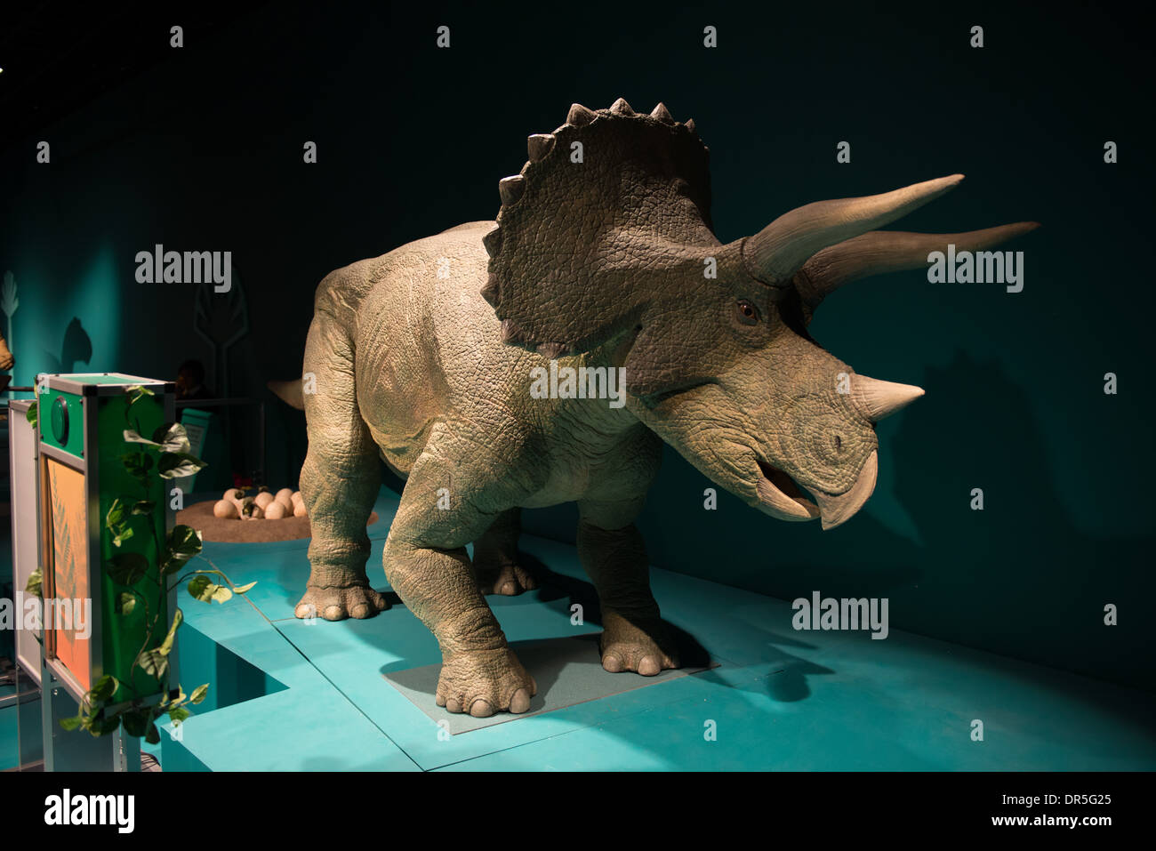 Life size model dinosaurs on display at the Science Museum in Hong Kong ...