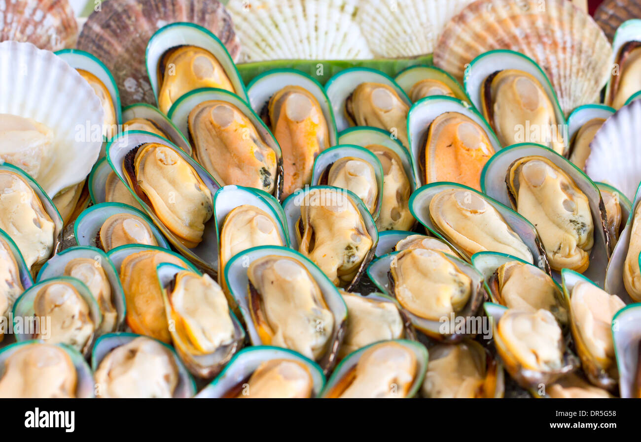 Asian green mussel Stock Photo - Alamy