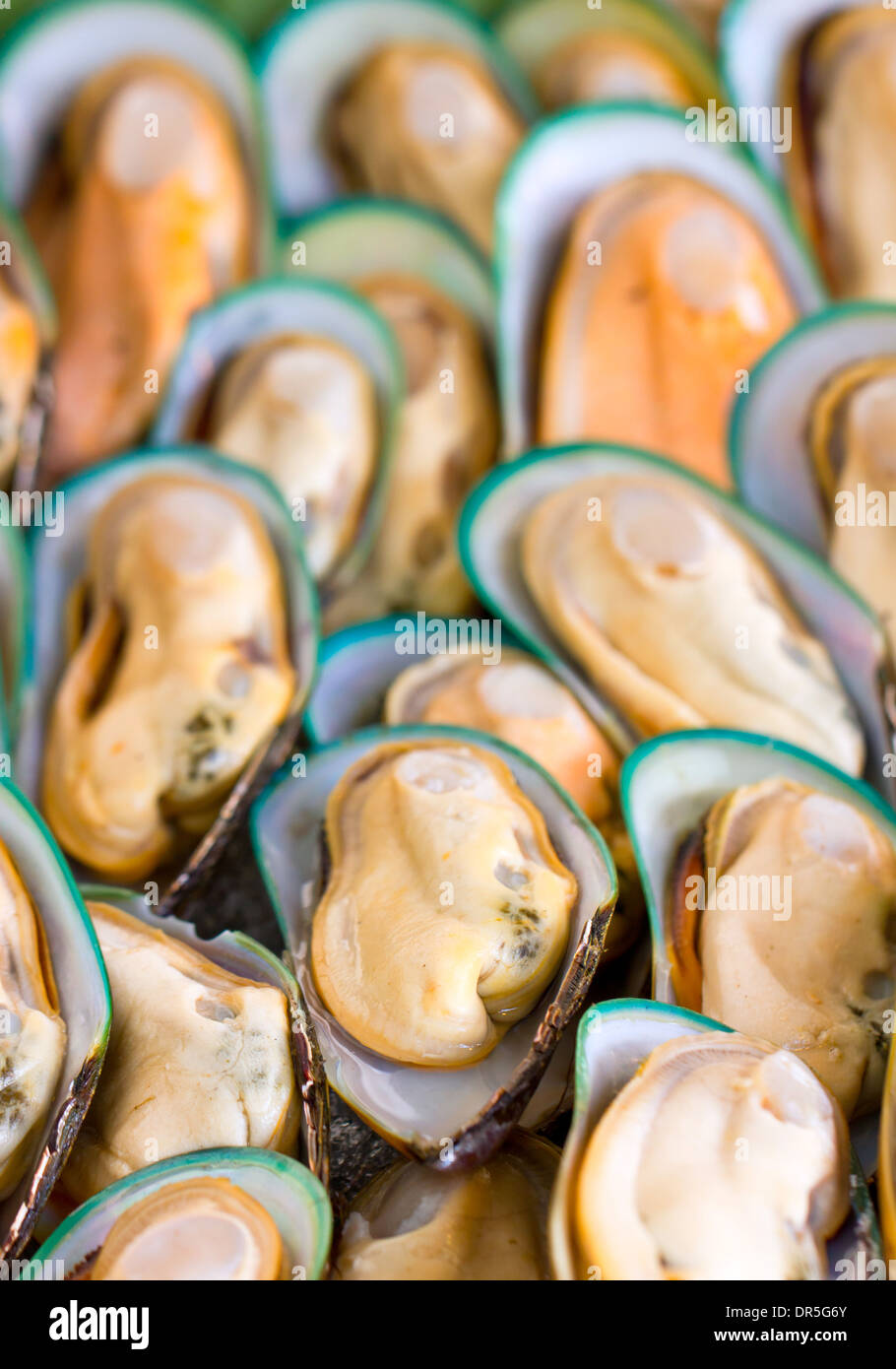 Asian mussel hi-res stock photography and images - Alamy