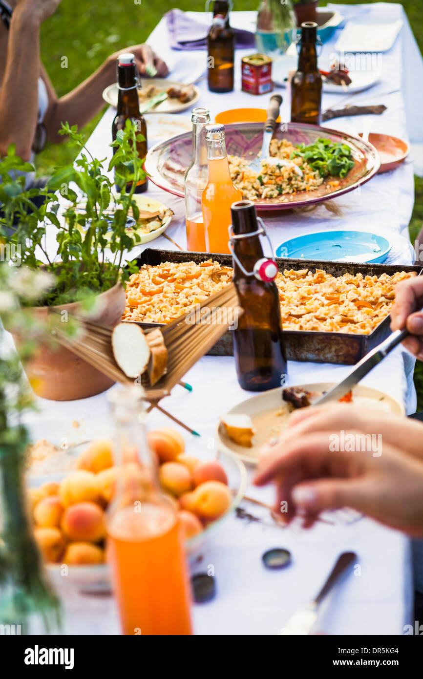 Picnic table with food hi-res stock photography and images - Alamy