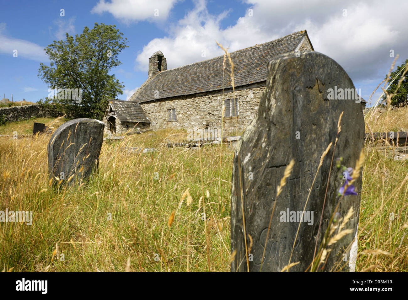 Rowen hi-res stock photography and images - Alamy