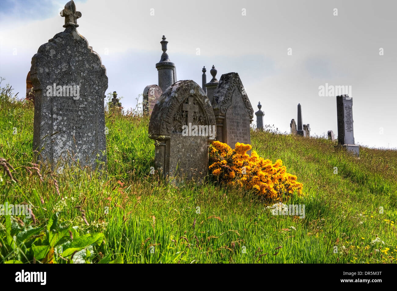 Scottish graveyard hi-res stock photography and images - Alamy