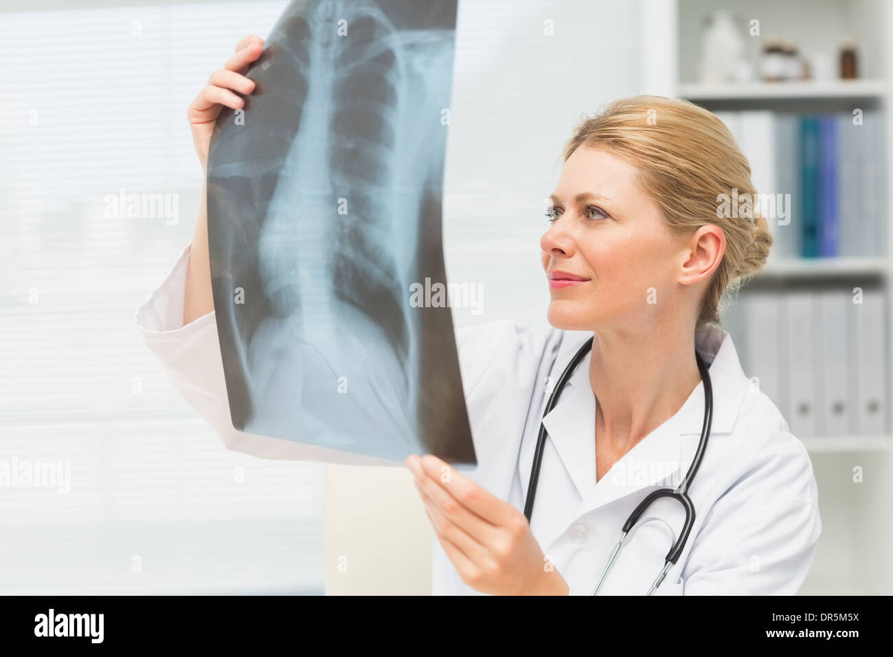 Doctor examining xray medical hi-res stock photography and images - Alamy