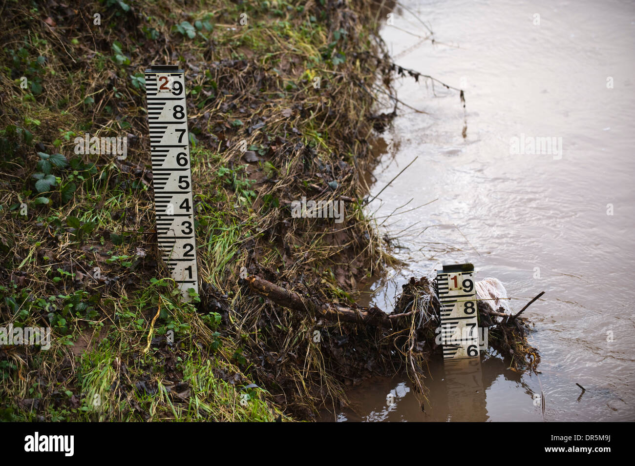 Flood water height measure hi-res stock photography and images - Alamy