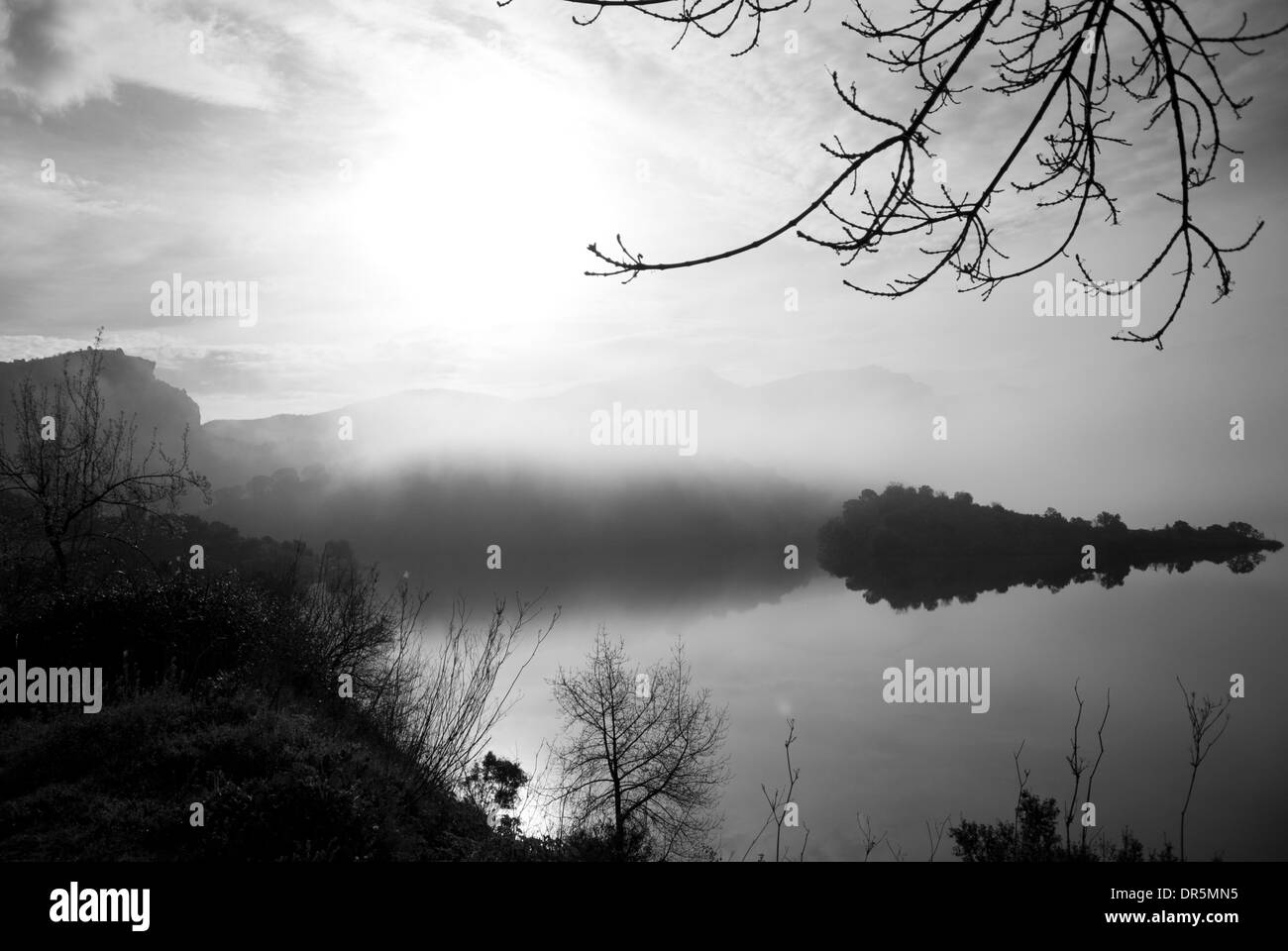 Mountain flowers Black and White Stock Photos & Images - Alamy