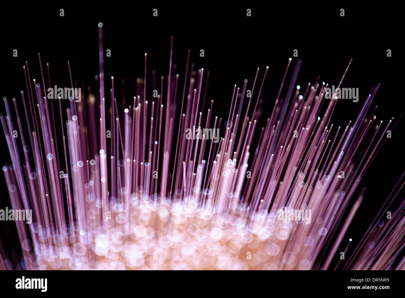 Fiber optics close-up, modern computer communication technology Stock ...