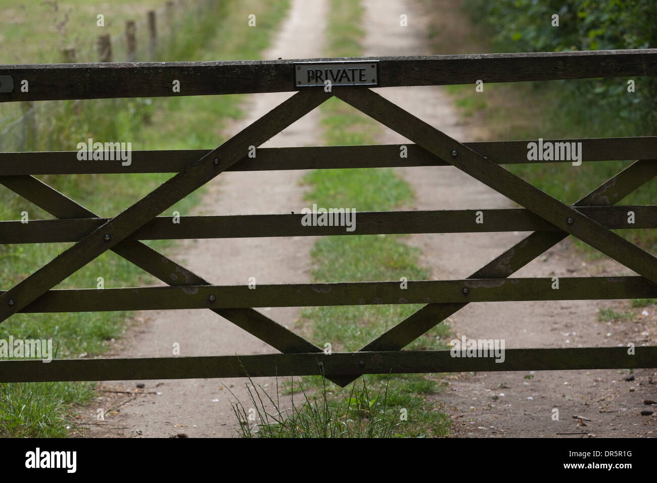 Field Gate. Timber. Wood. Norfolk. England. UK Stock Photo - Alamy