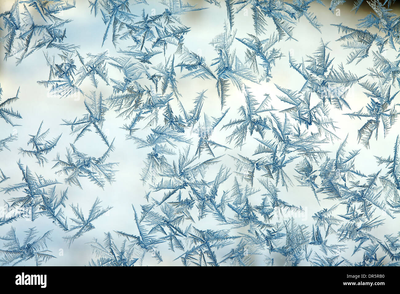 Freeze rime hi-res stock photography and images - Alamy