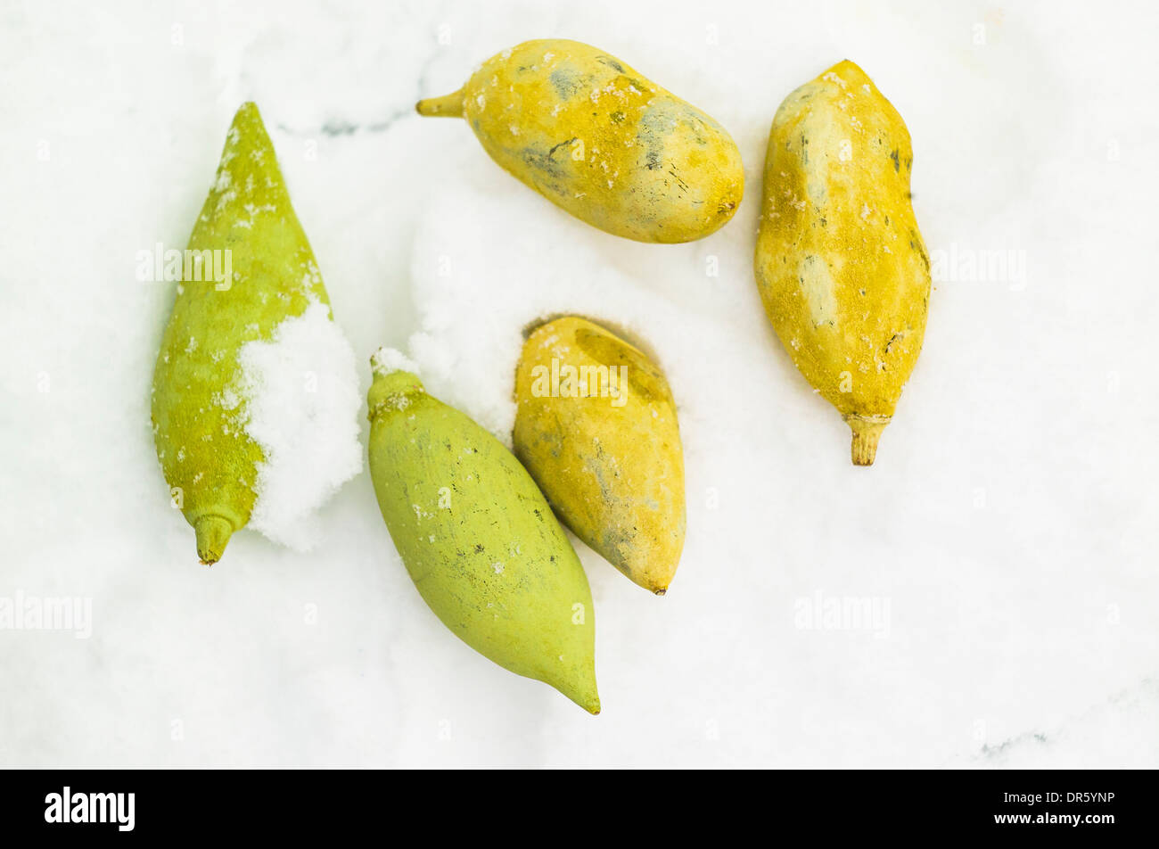 Frozen fruits vegetables hi-res stock photography and images - Alamy