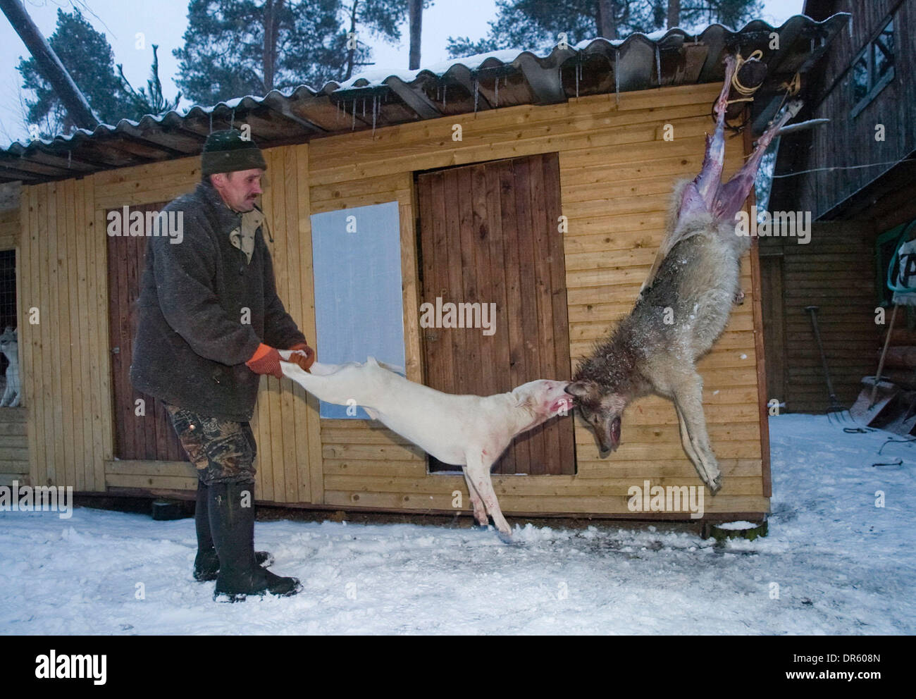 Getting killed hi-res stock photography and images - Alamy