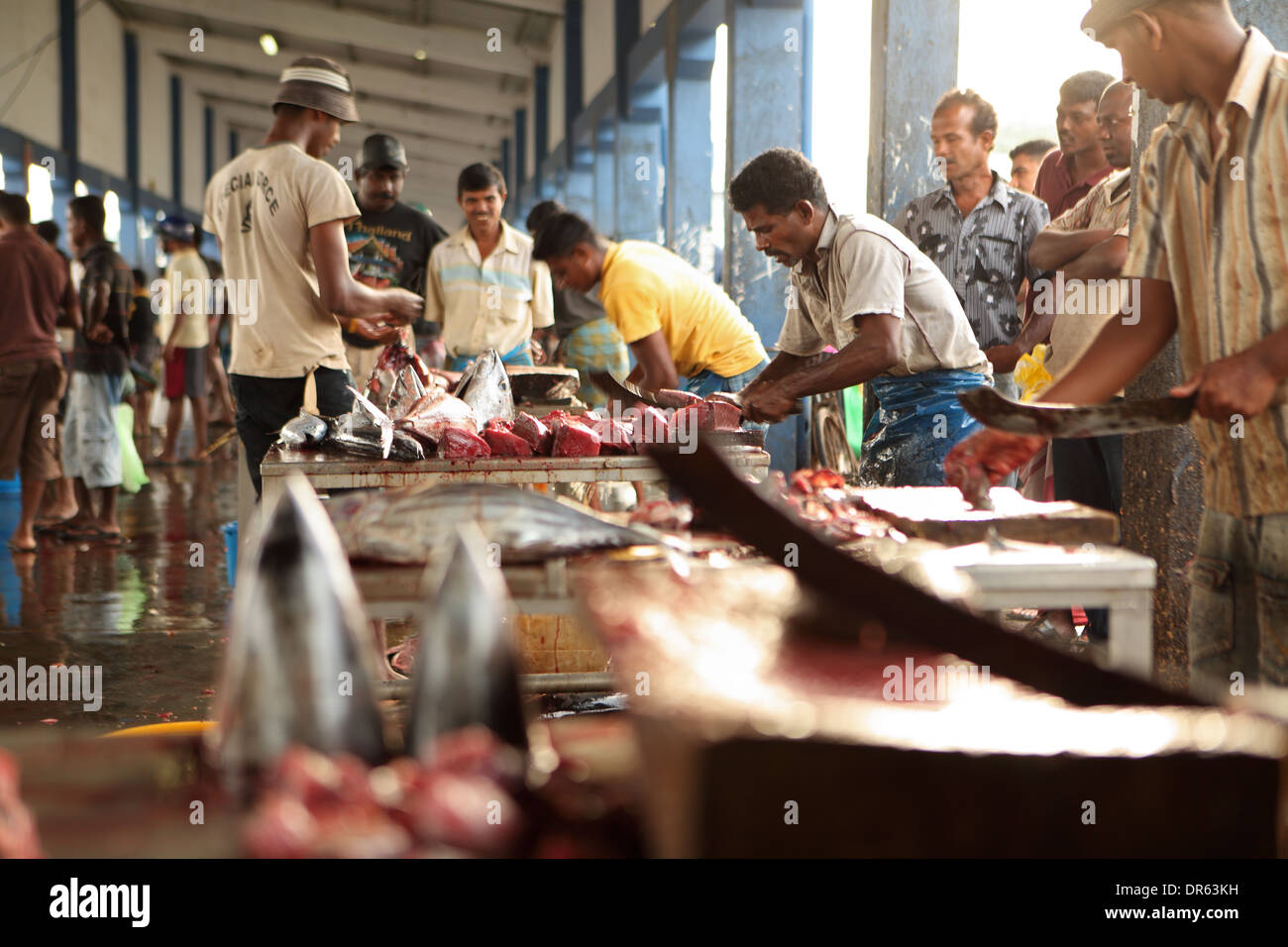 Fish market, Sri Lanka, Asia Stock Photo - Alamy