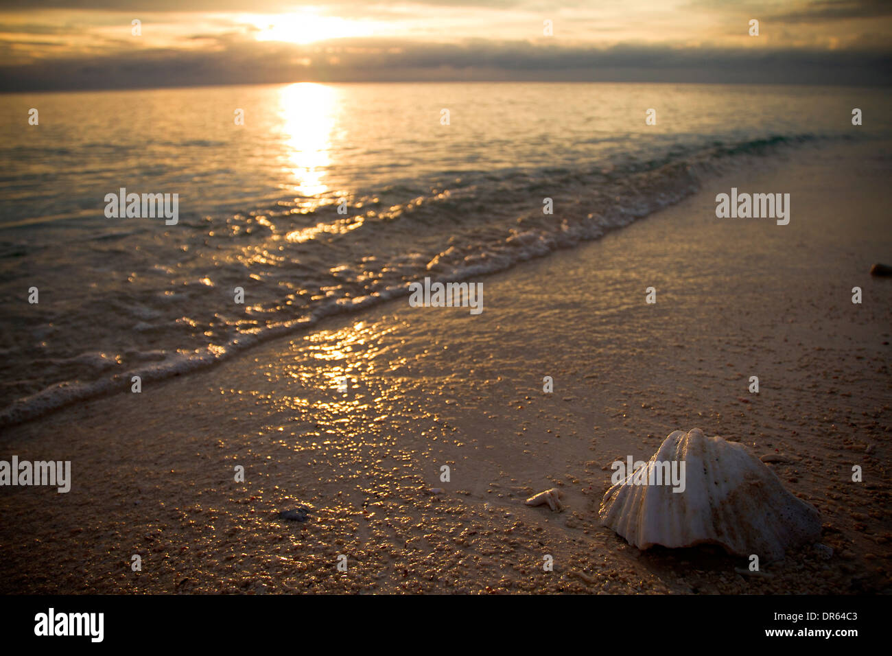 Borneo nature scenery hi-res stock photography and images - Alamy