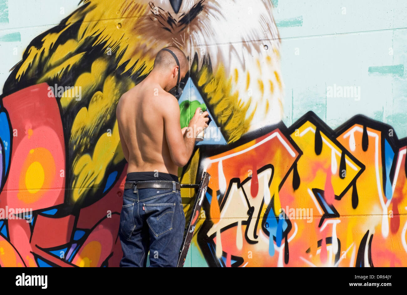 young graffiti artist on ladder Stock Photo - Alamy