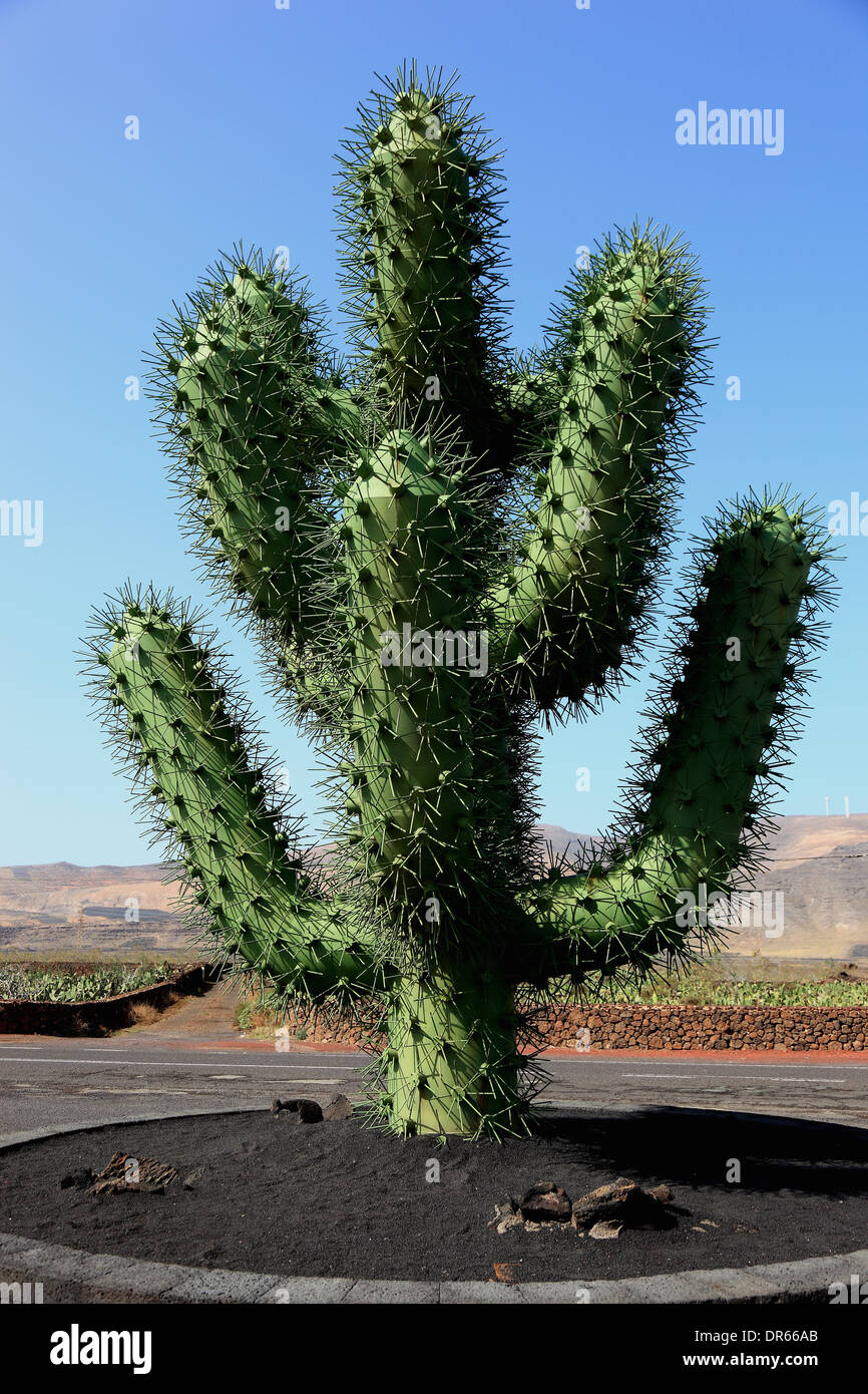 Large metal cactus hi-res stock photography and images - Alamy