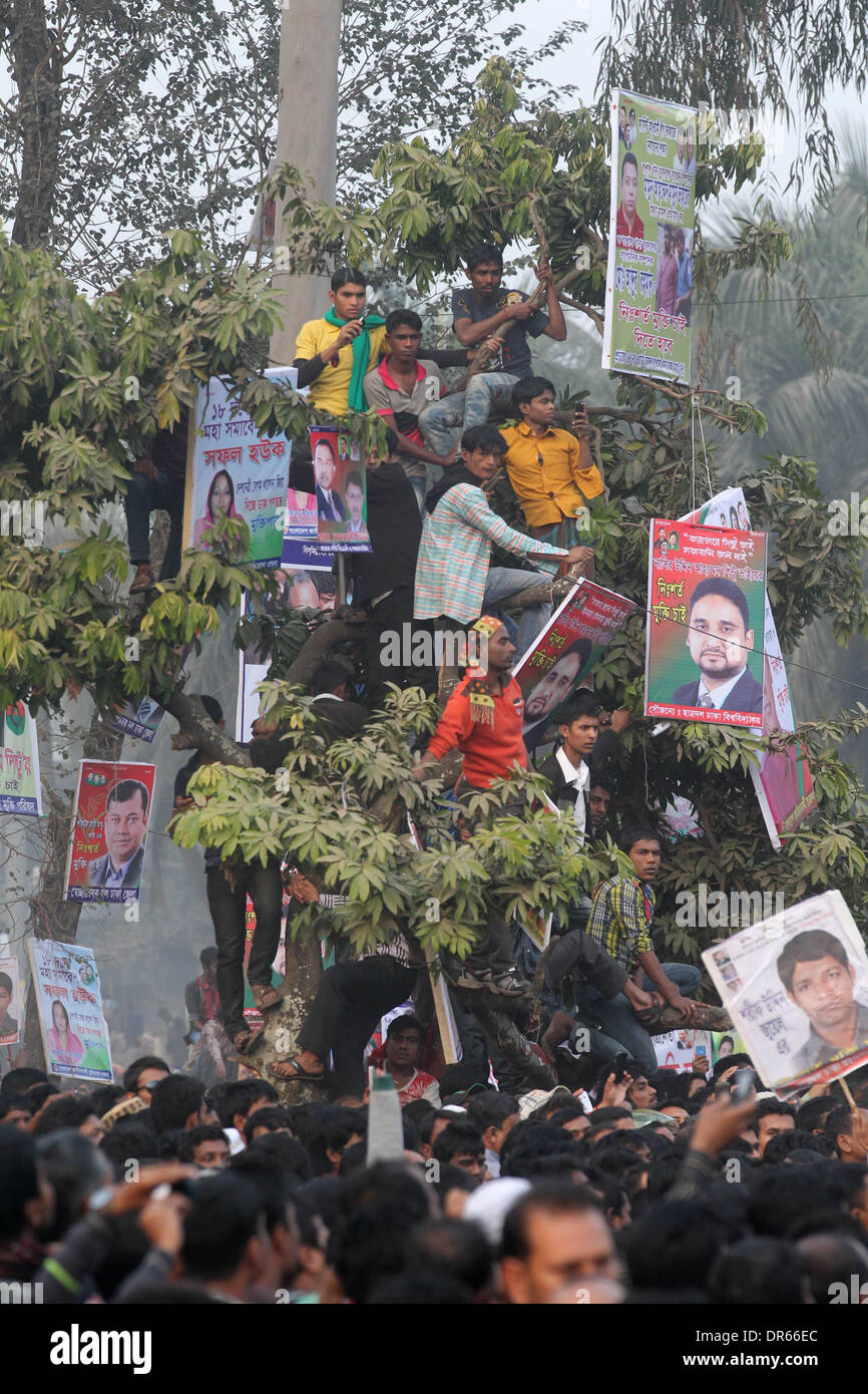 Savar tree hi-res stock photography and images - Alamy